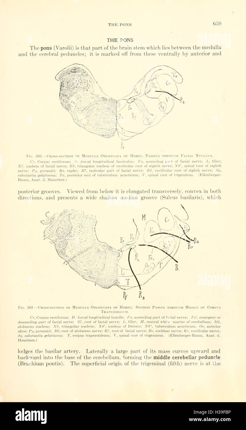 This textbook offers a detailed study of veterinary anatomy, covering ...