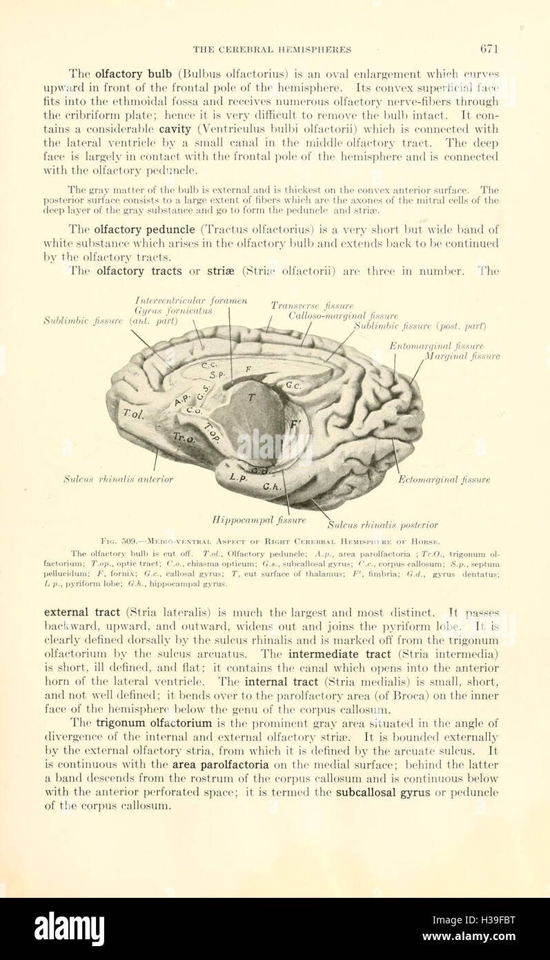 This textbook provides an in-depth exploration of veterinary anatomy ...