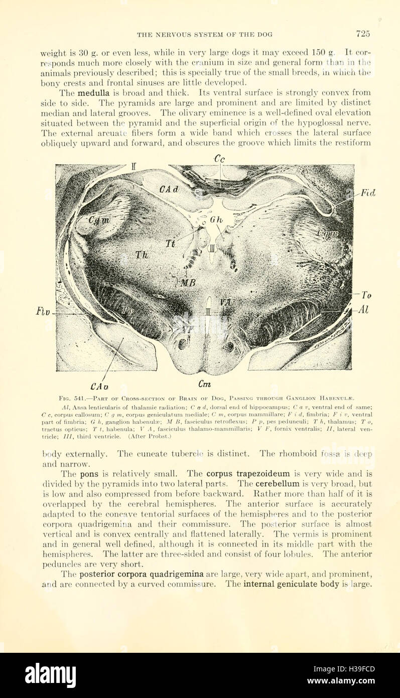 This veterinary anatomy textbook offers detailed information on the ...