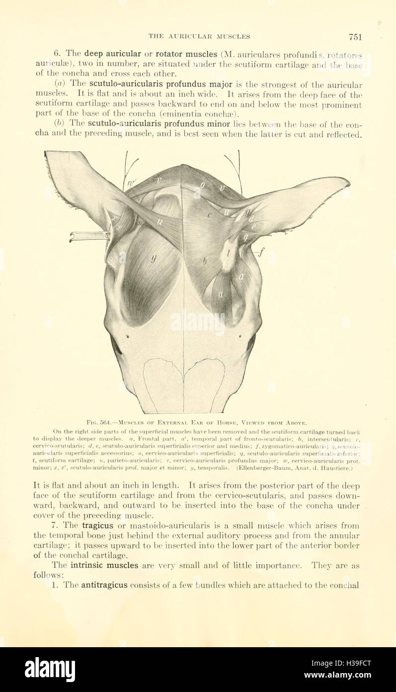 This textbook offers comprehensive information on veterinary anatomy ...