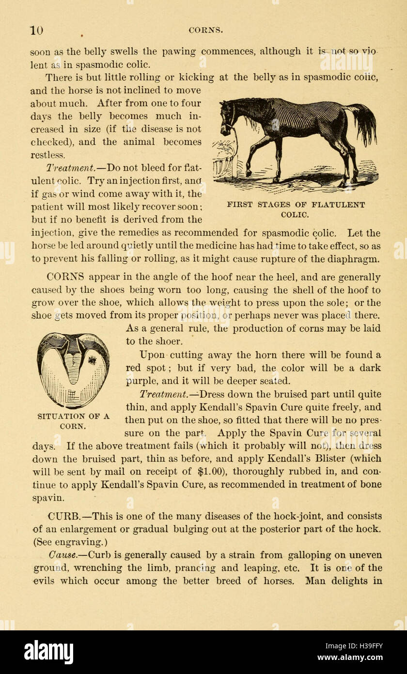 This work covers the health and medical treatment of horses, focusing ...