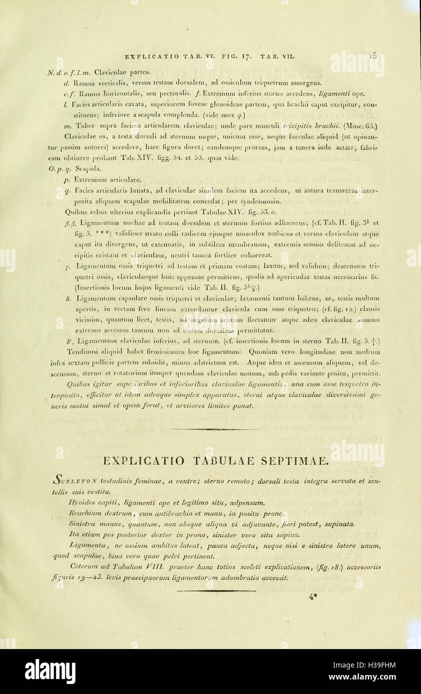 A detailed anatomical study of the European turtle by Ludwig Heinrich ...