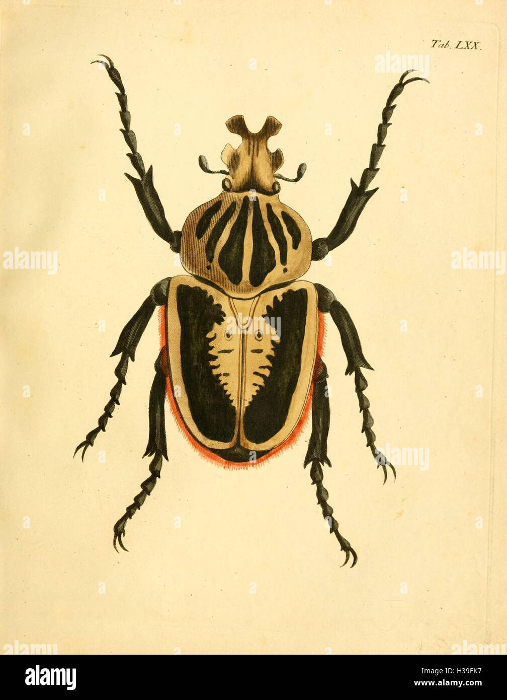 Lxx font hi-res stock photography and images - Alamy