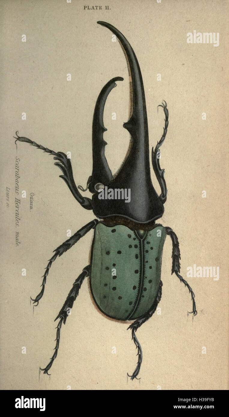 This page features detailed illustrations and descriptions of various ...