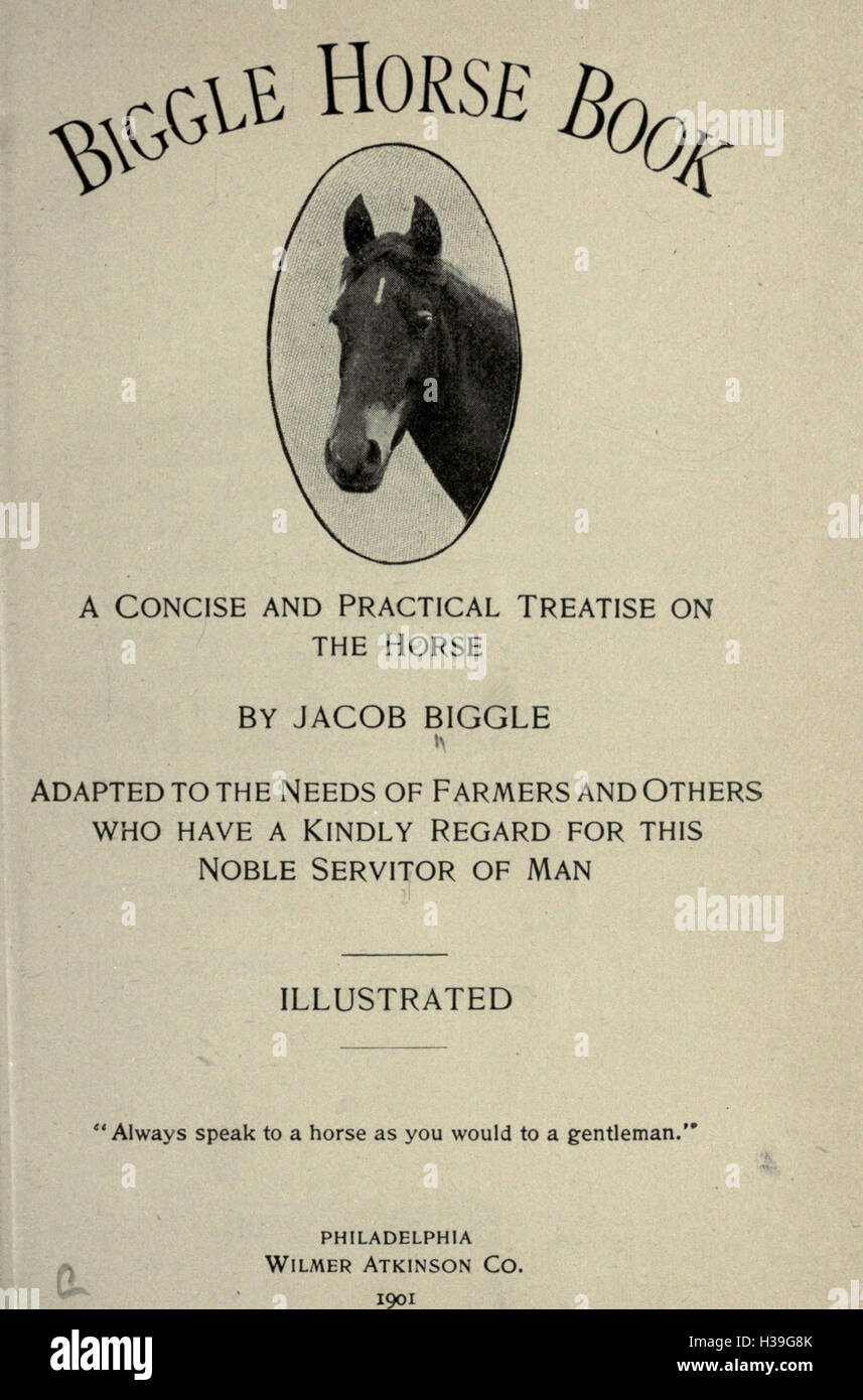 Biggle horse book BHL238 Stock Photo - Alamy