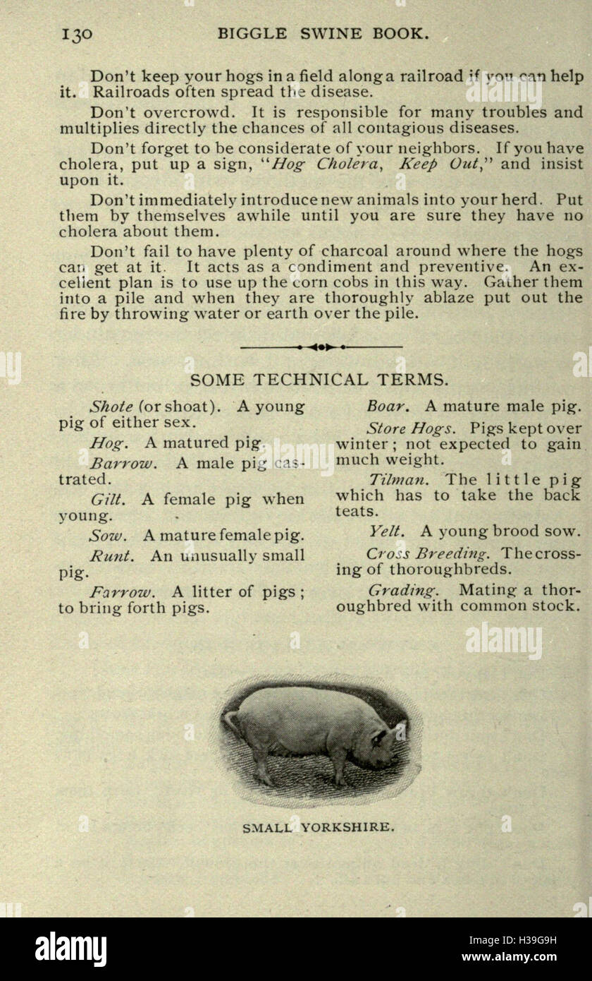 The 'Biggle Swine Book' provides practical advice on the care and ...