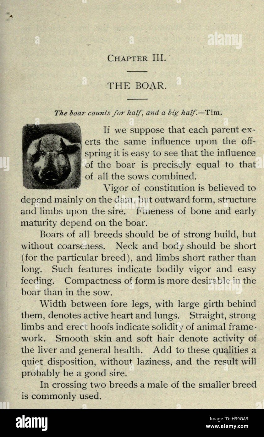 A comprehensive guide on raising pigs, including techniques for ...