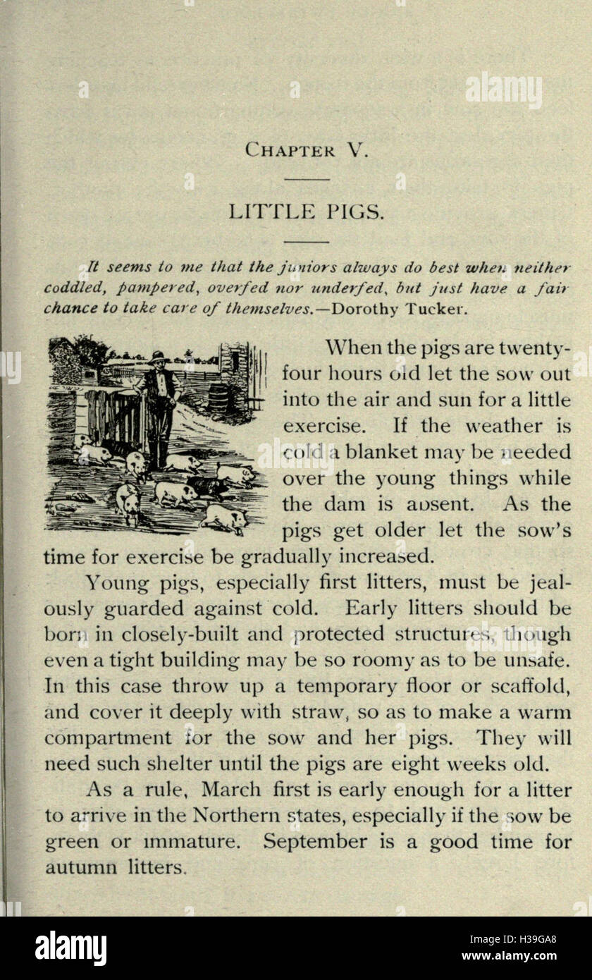 A comprehensive guide on the breeding, care, and management of swine ...