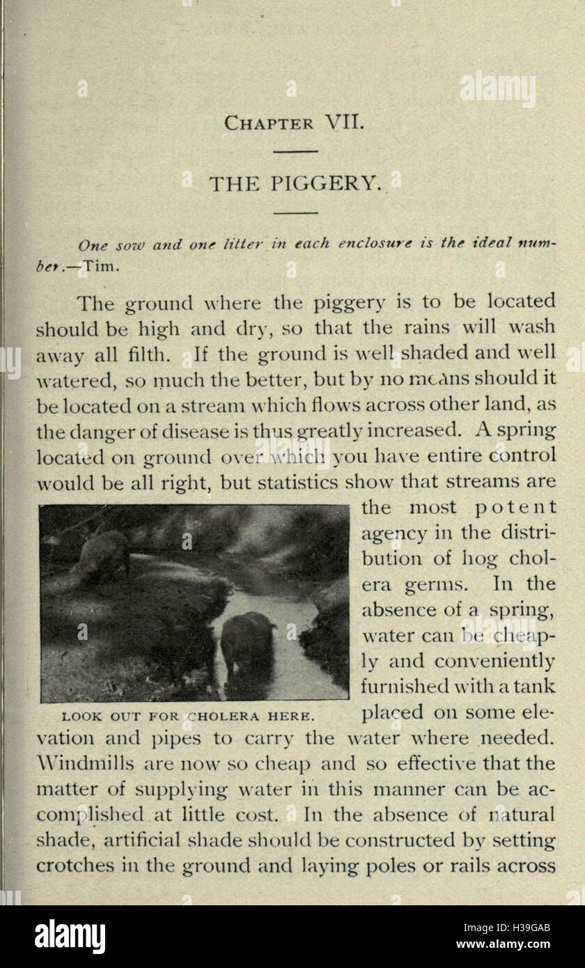 This book provides practical guidance on swine husbandry, covering ...