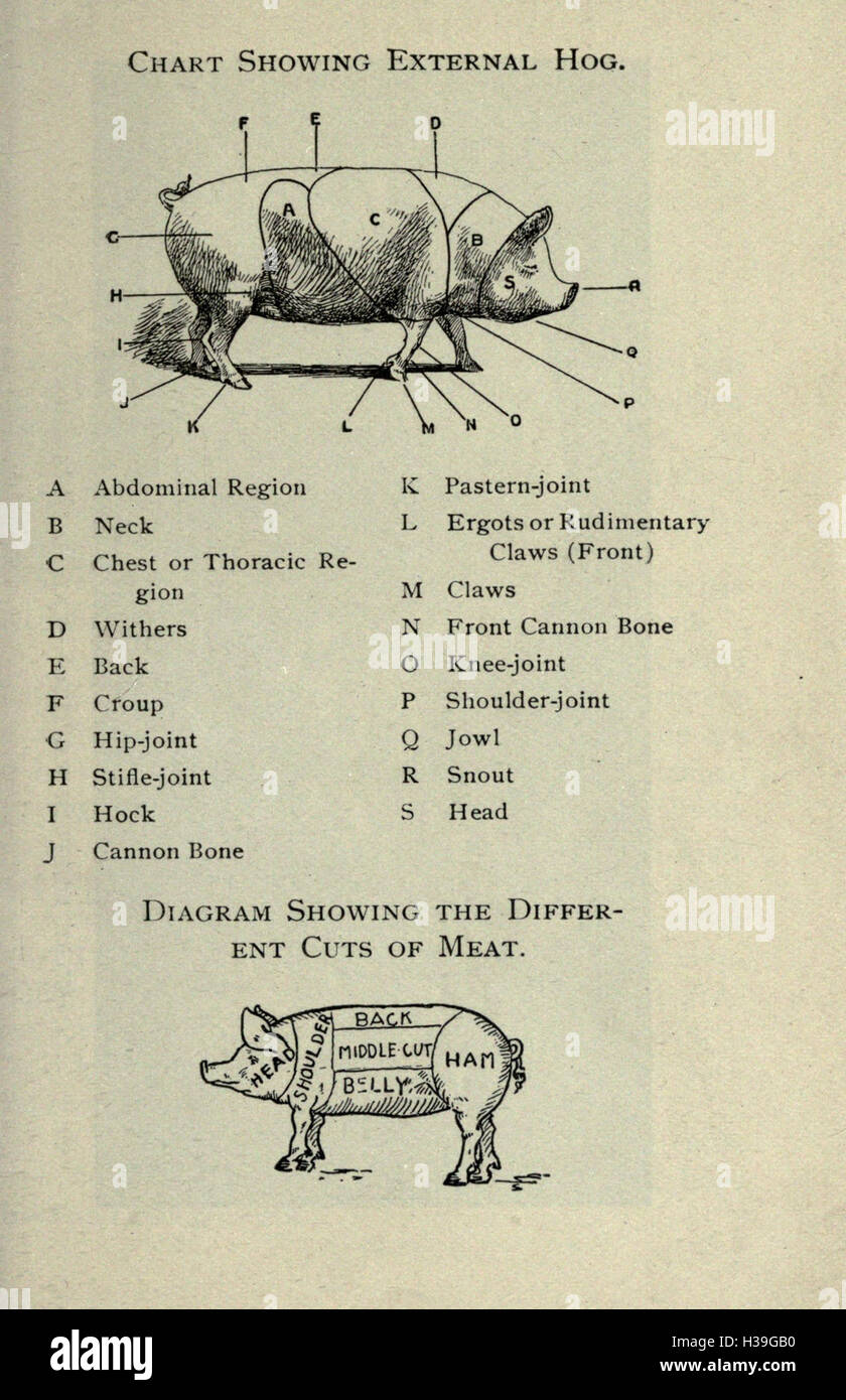 This practical guide provides essential information about raising pigs ...