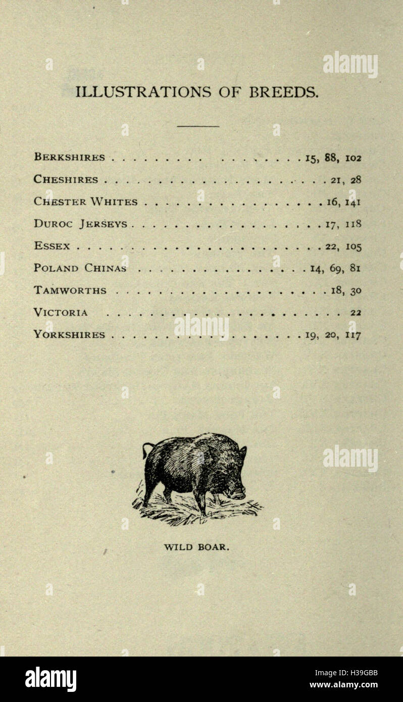 A comprehensive guide to raising swine, including breeding, feeding ...