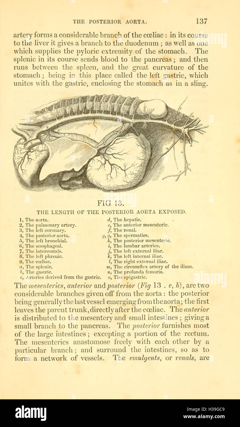 This treatise covers the anatomy, physiology, and treatment of diseases ...