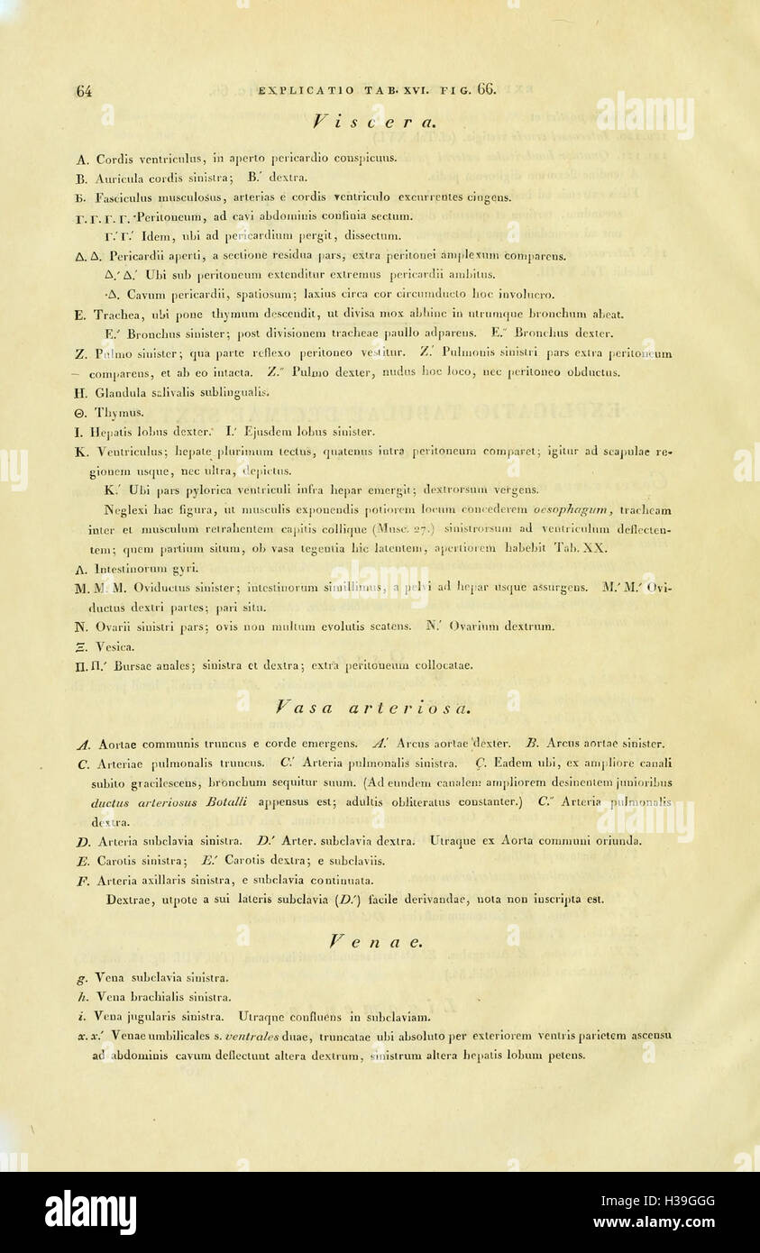 This page from 'Anatome Testudinis Europaeae' details the anatomy of ...