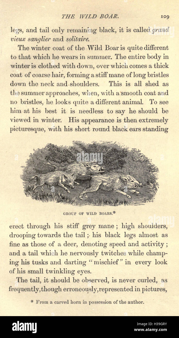 This text examines the extinct British animals that disappeared during ...