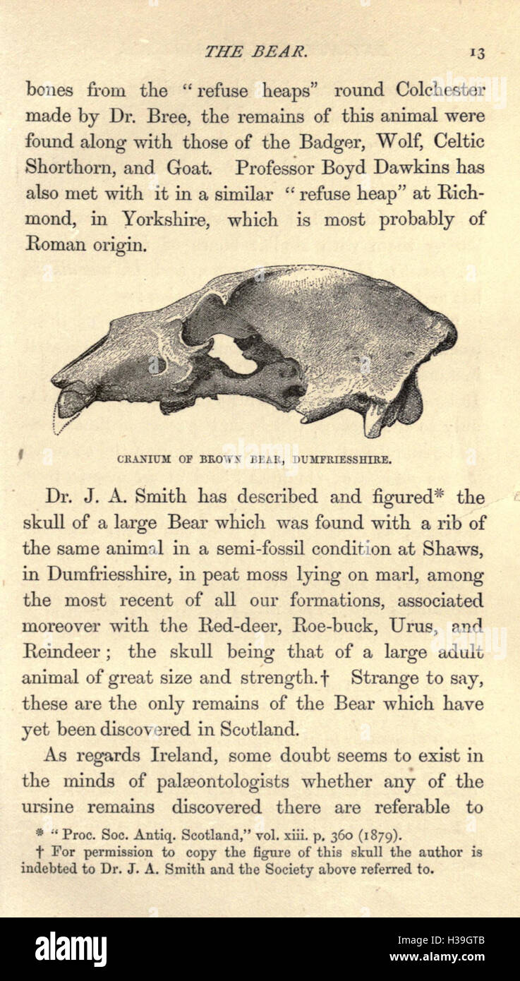 British animals extinct within historic times (Page 13) BHL177 Stock ...