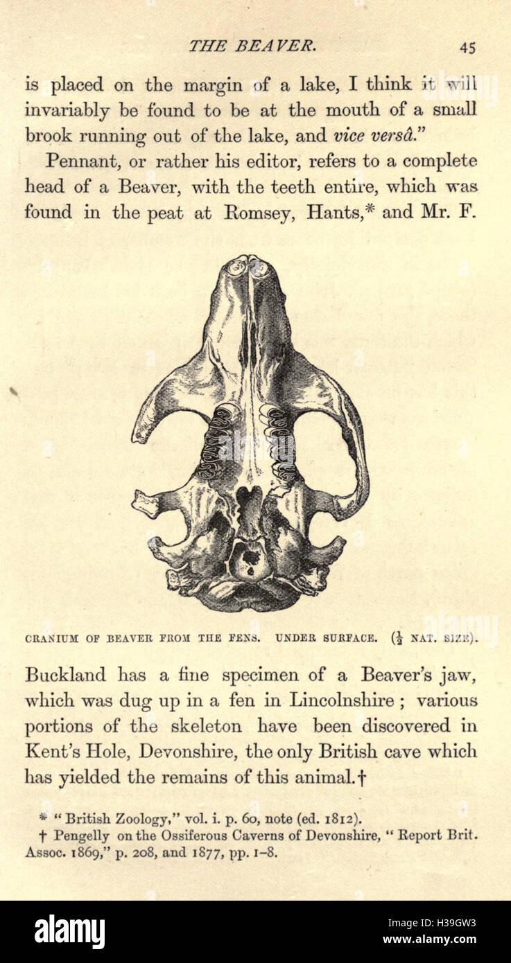 This work provides a comprehensive overview of British animals that ...