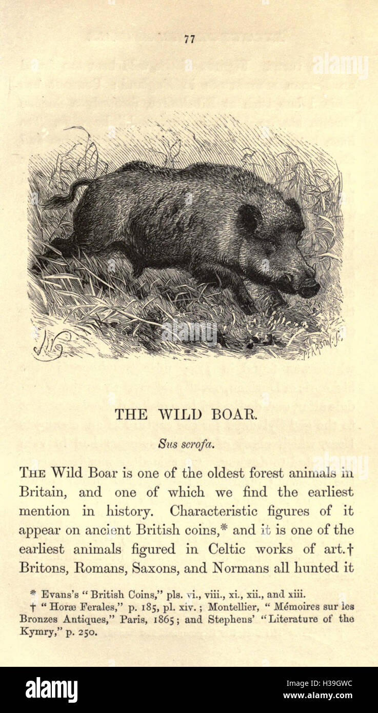 This text details the extinct animals of Britain, focusing on species ...