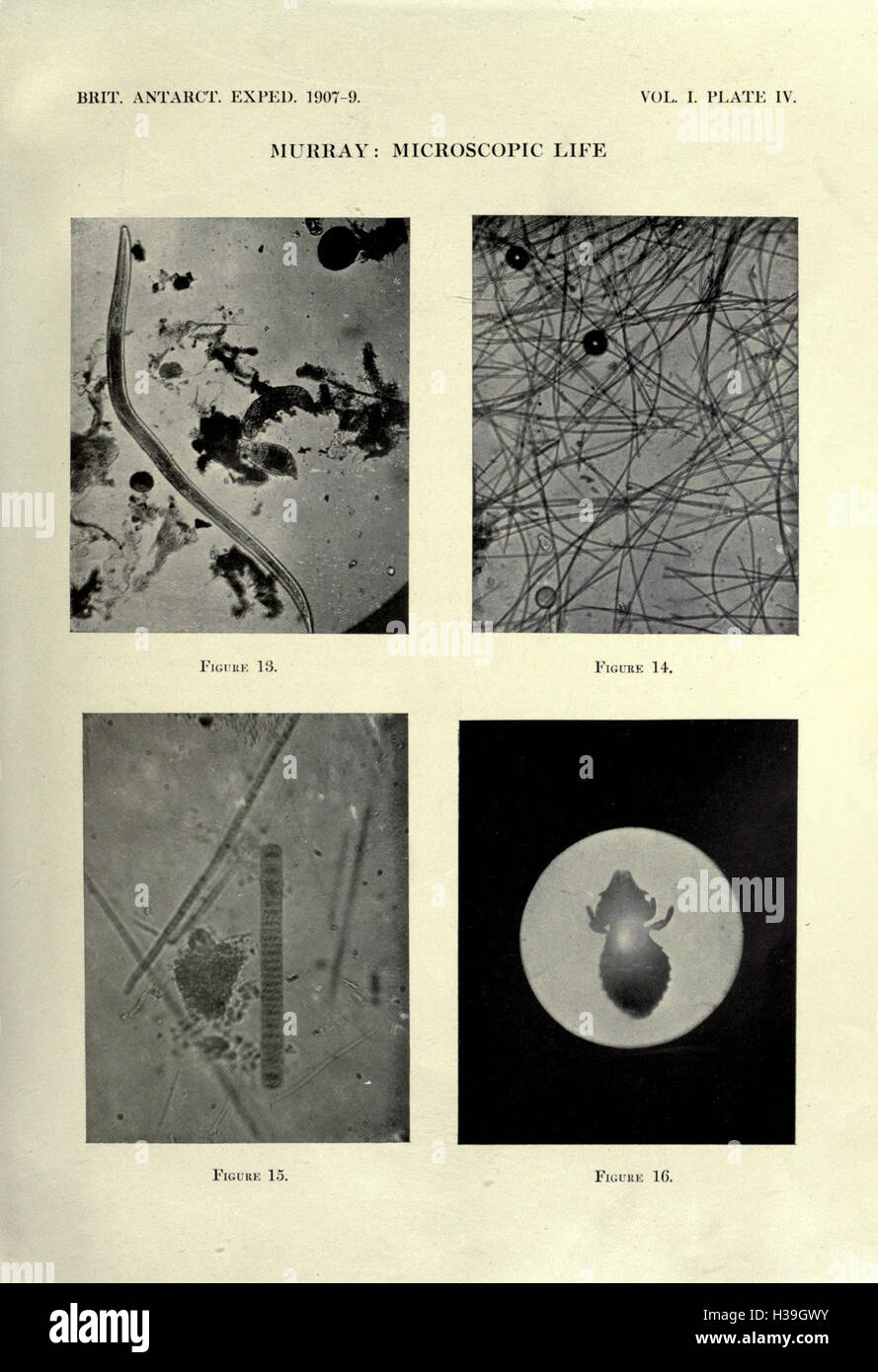 Page 30 details the British Antarctic Expedition of 1907-9, led by Sir ...