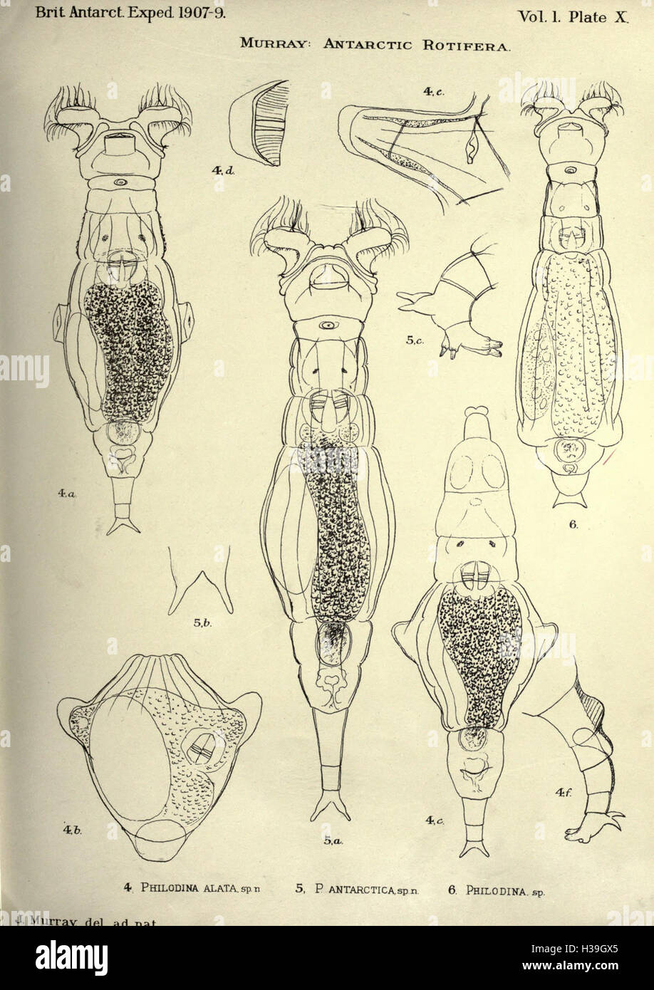 This document details the British Antarctic Expedition led by Sir ...