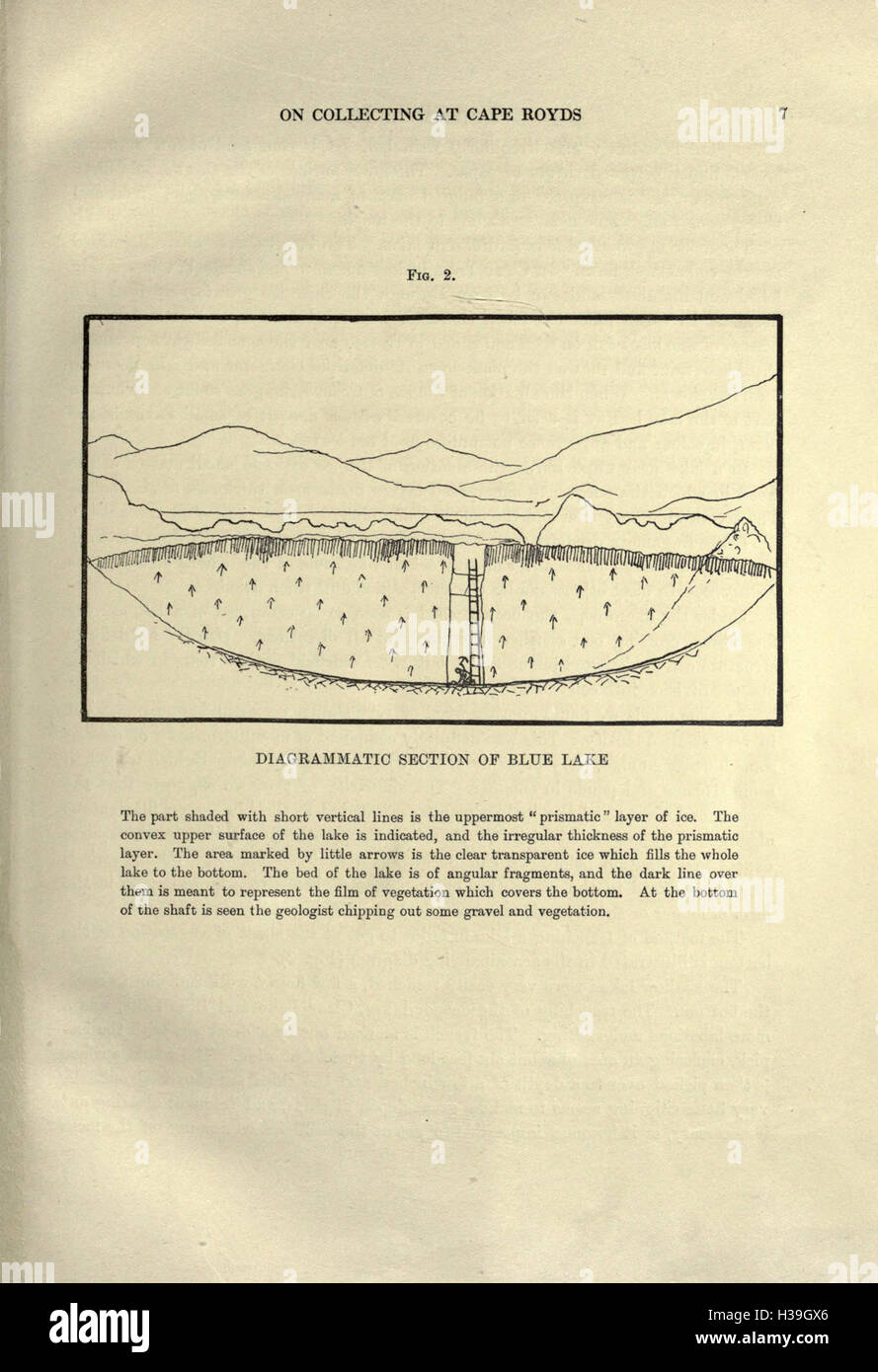 This document describes the British Antarctic Expedition of 1907-1909 ...