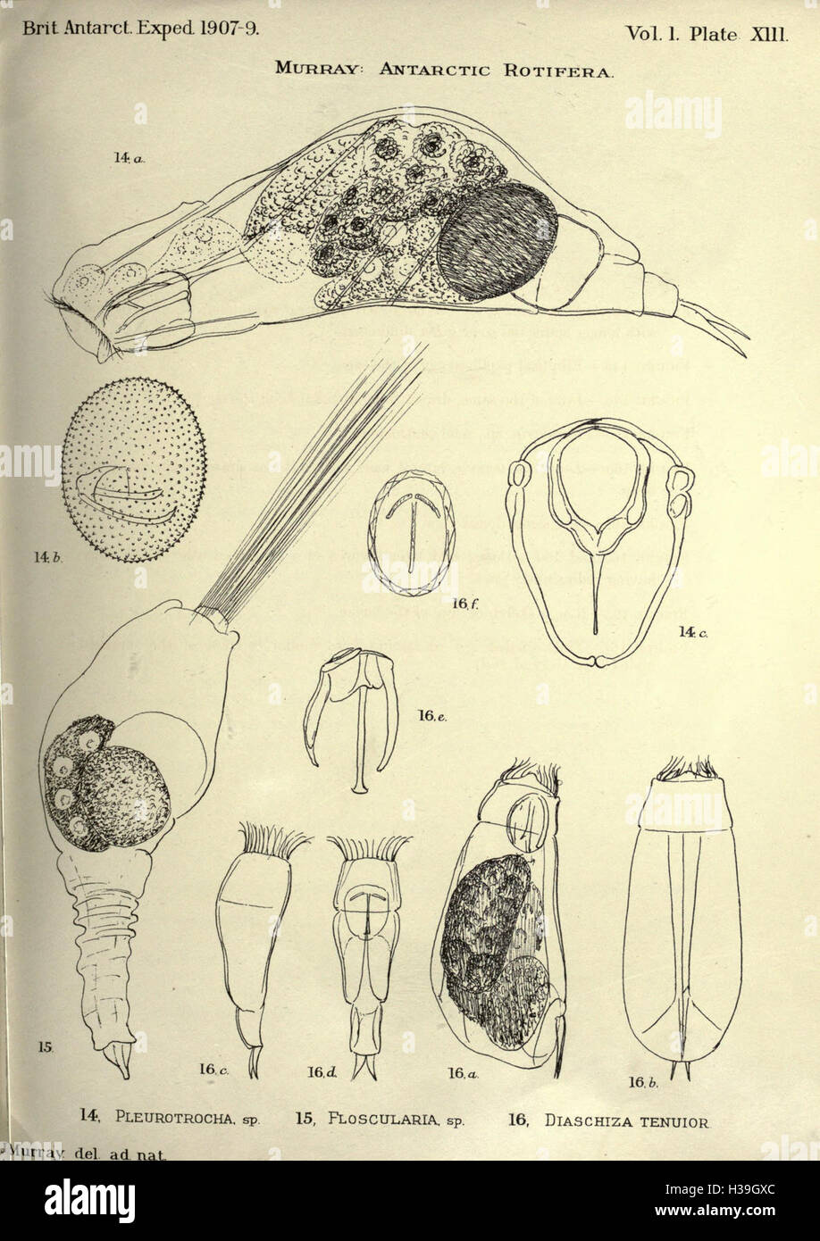This account details the British Antarctic Expedition led by Sir Ernest ...
