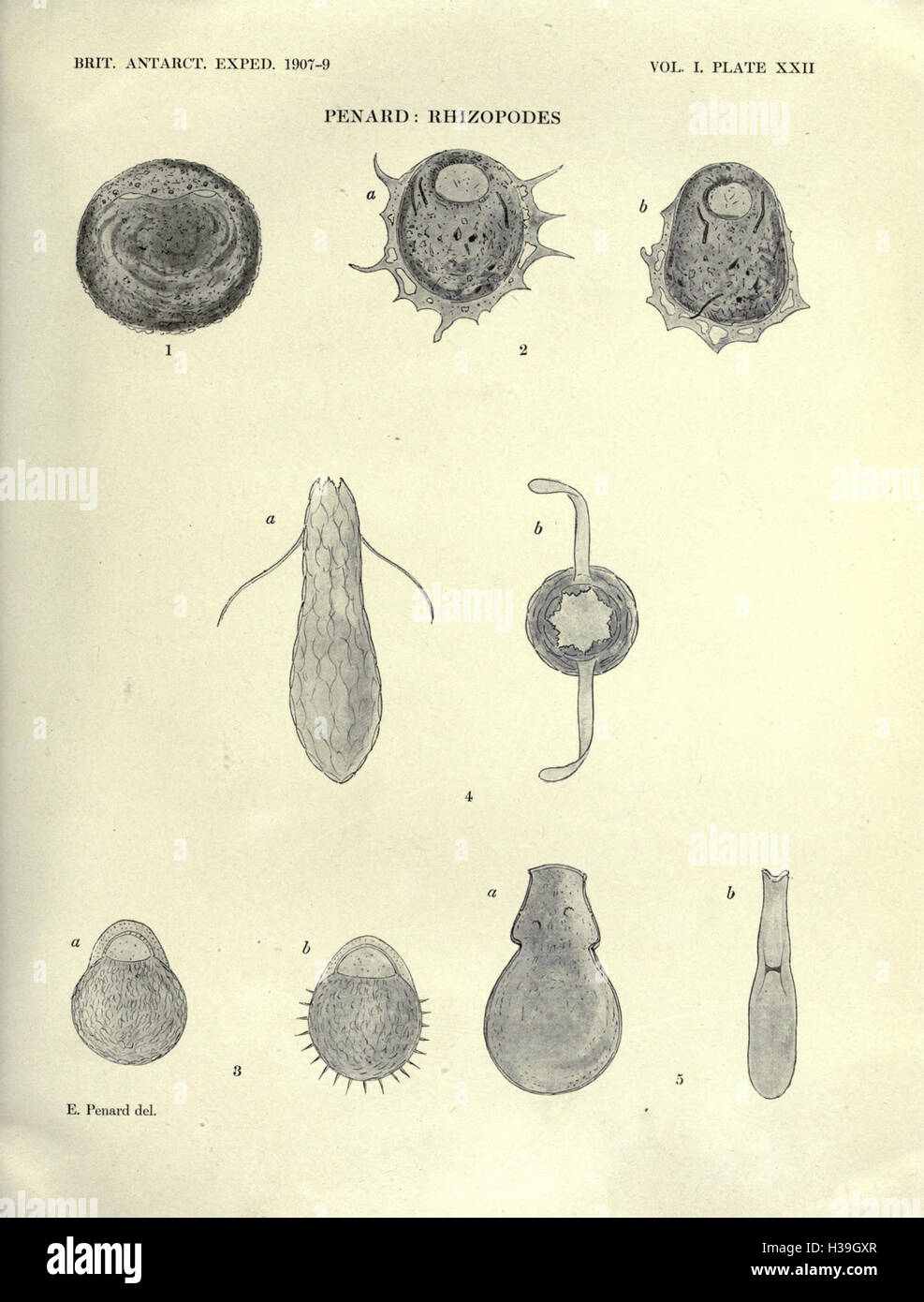 This document details the British Antarctic Expedition led by Sir ...