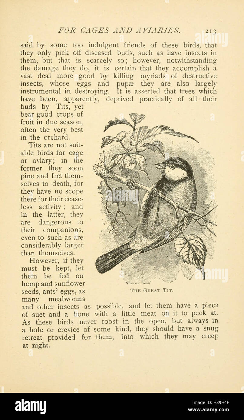 This guide provides information on various British bird species ...