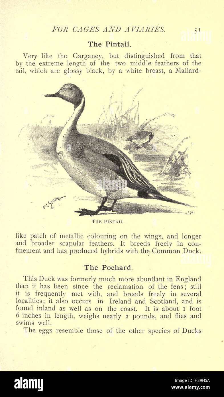 This text offers a guide to keeping British bird species in captivity ...