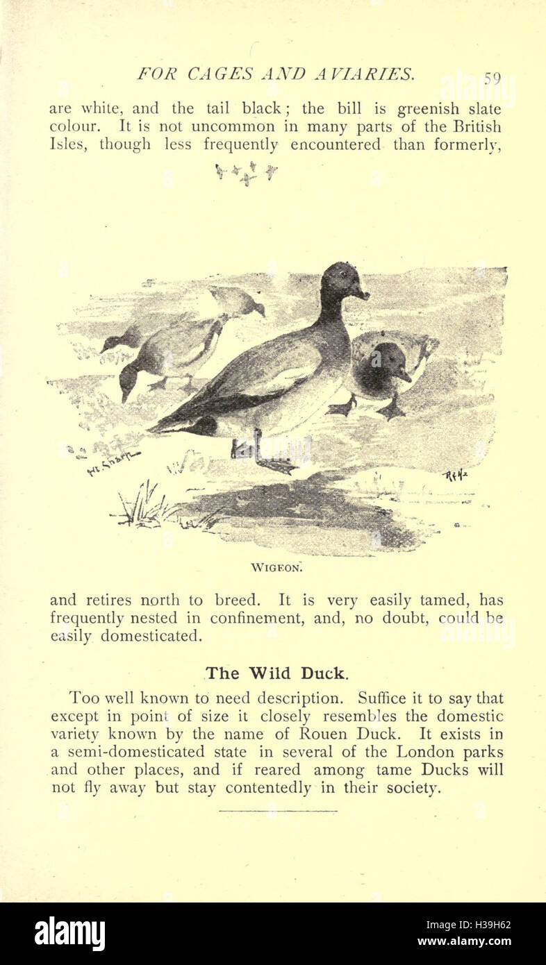 This guide provides detailed information about British bird species ...