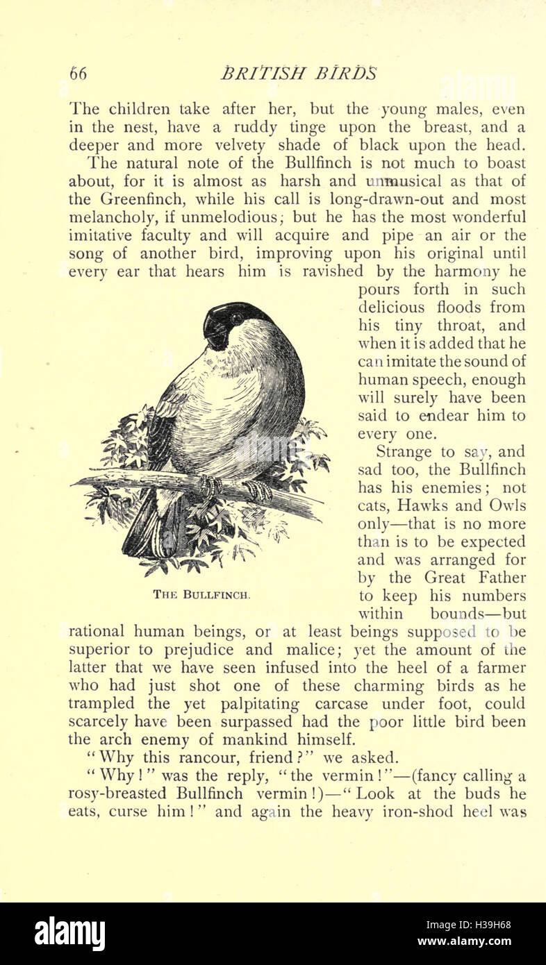 This guide provides information on various British bird species ...