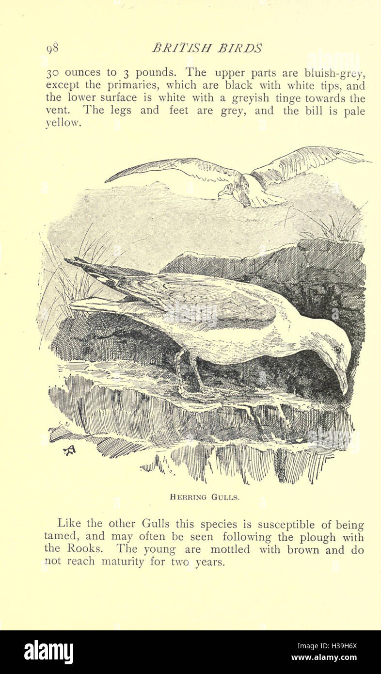 This guide provides information on the care, breeding, and housing of ...