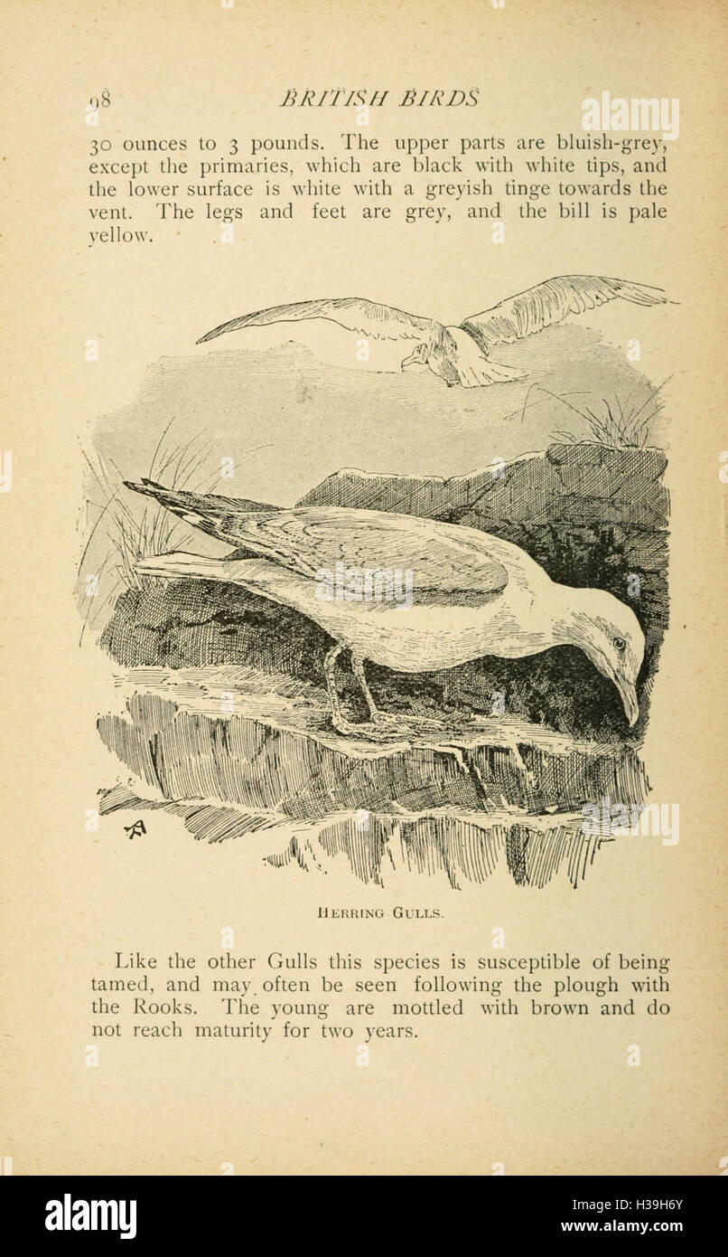 This book covers various bird species suitable for cages and aviaries ...