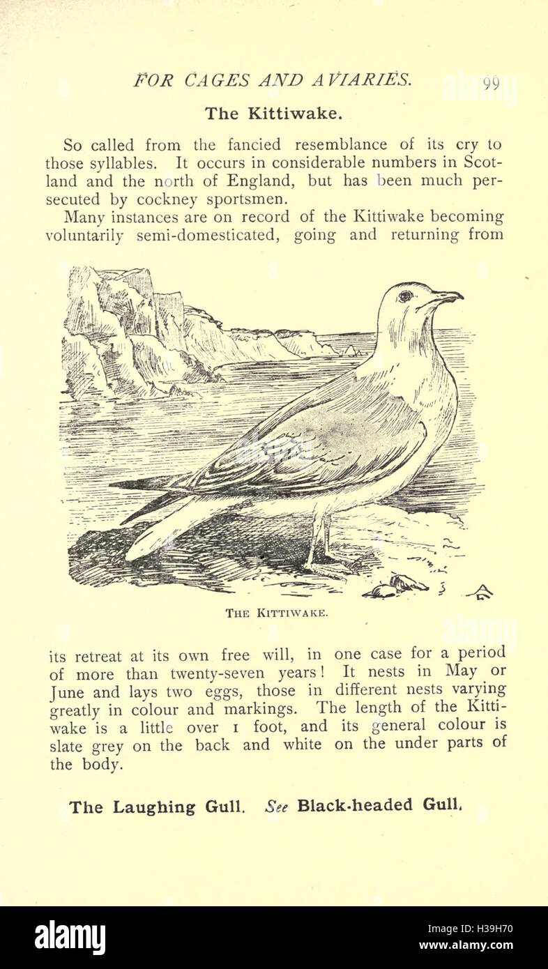 A guide to British bird species suitable for captivity, focusing on ...