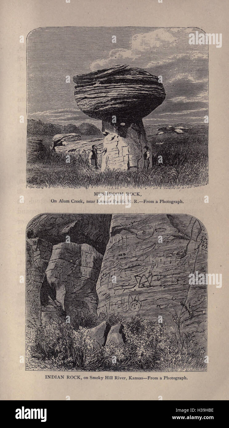 'Buffalo Land' examines the American Great Plains, focusing on the ...