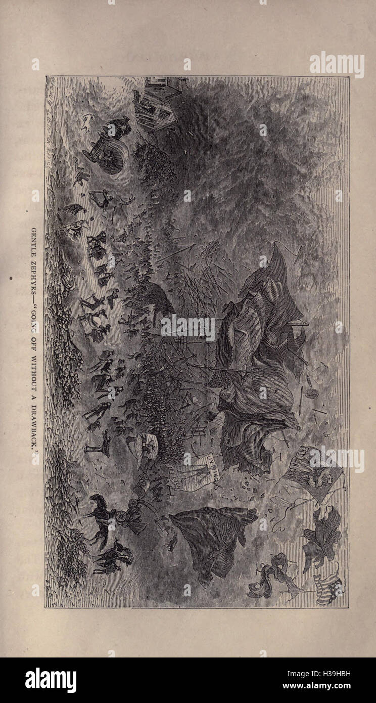 This work discusses the buffalo herds of North America, their ...