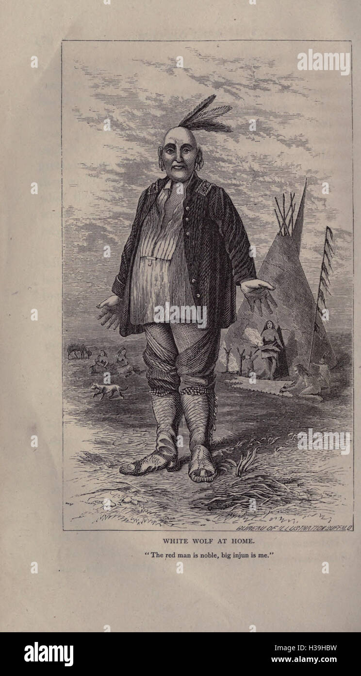 This book explores the history, ecology, and significance of buffalo ...