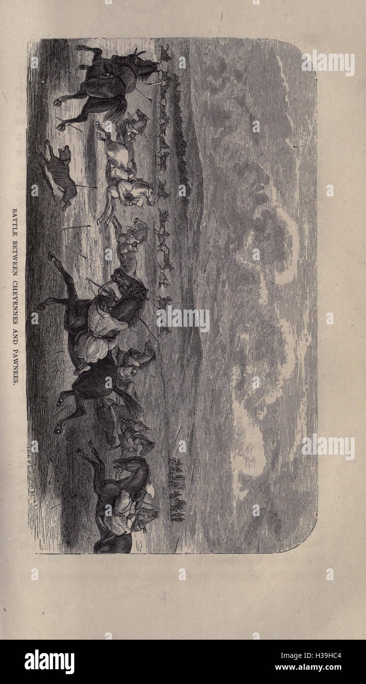 Antique map of buffalo hi-res stock photography and images - Alamy