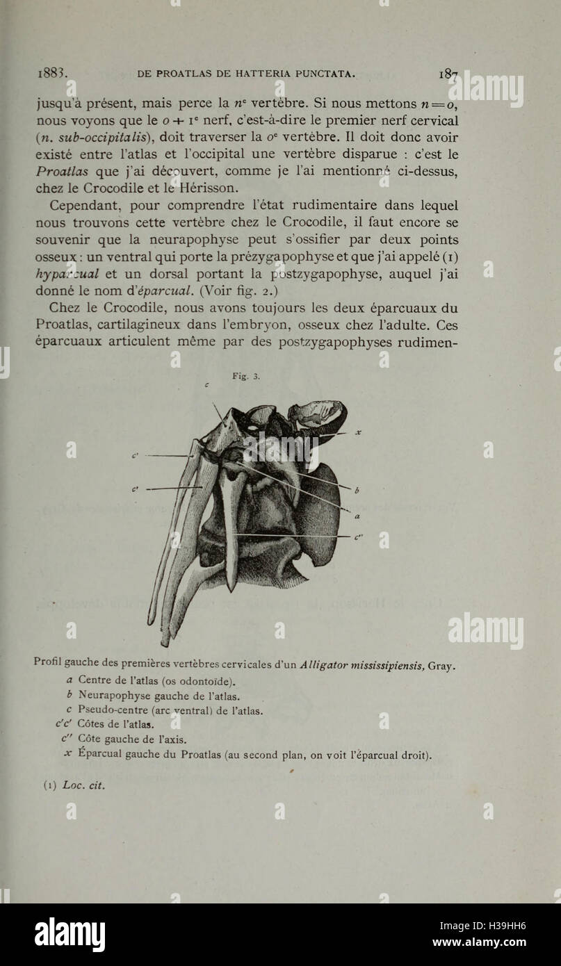 A bulletin from the Royal Museum of Natural History in Belgium ...