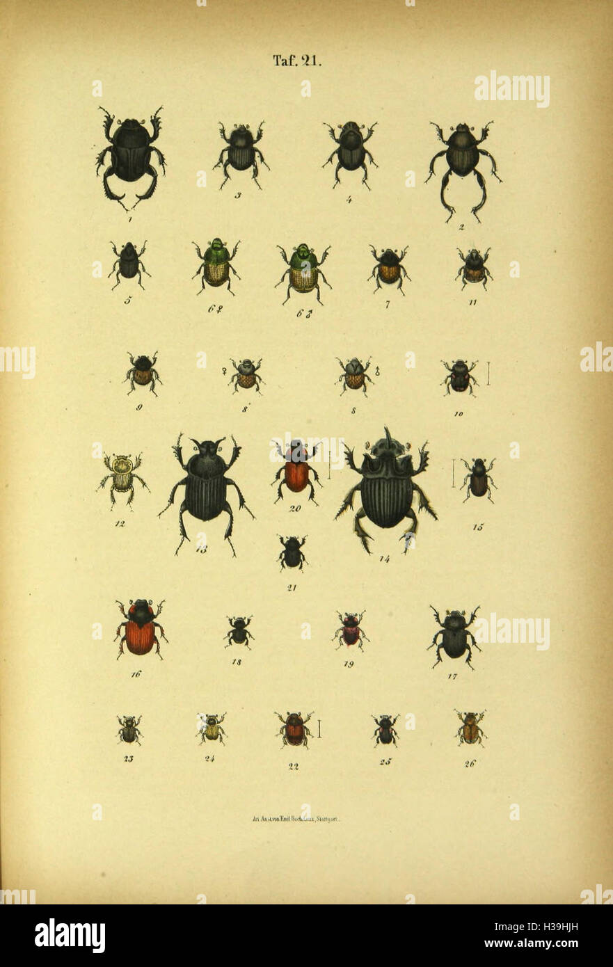 This illustrated guide presents detailed images and descriptions of ...