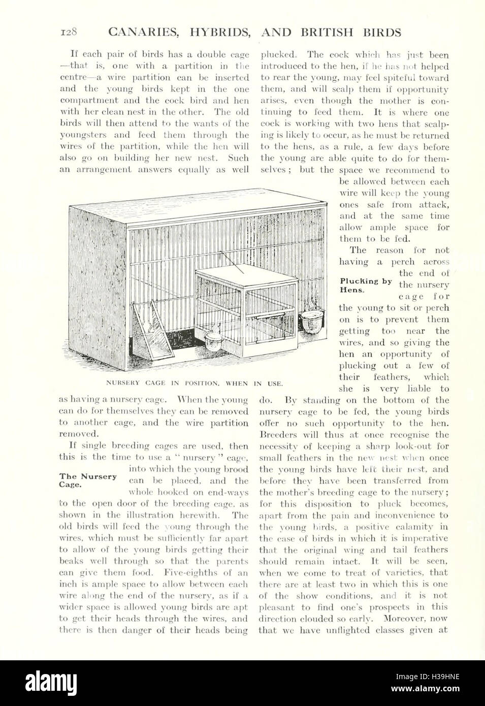A guide to the care and breeding of canaries, hybrid birds, and other ...