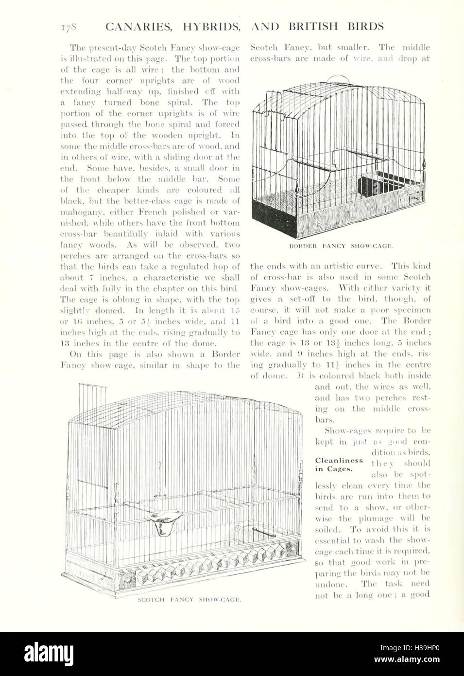This work explores the various types of canaries, their hybrids, and ...