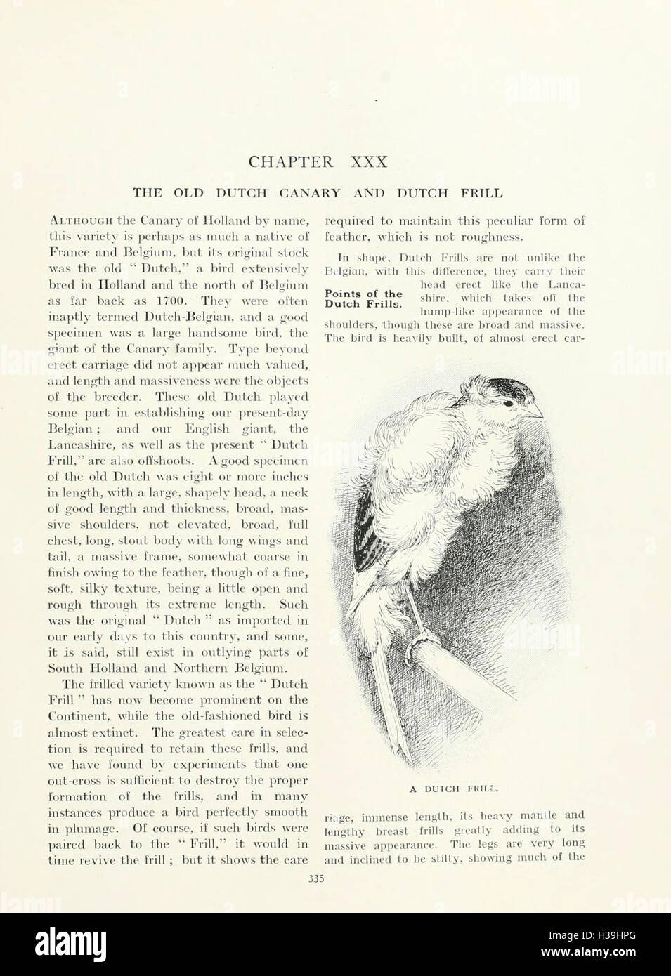 A guide to the care, breeding, and characteristics of canaries, hybrid ...
