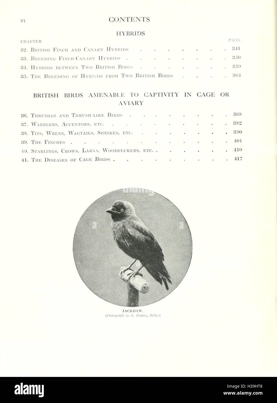 This book covers the care, breeding, and varieties of canaries, hybrids ...