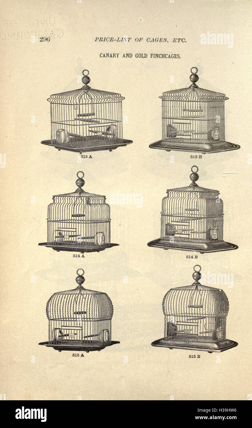 This work covers the care and breeding of canaries and other cage birds ...