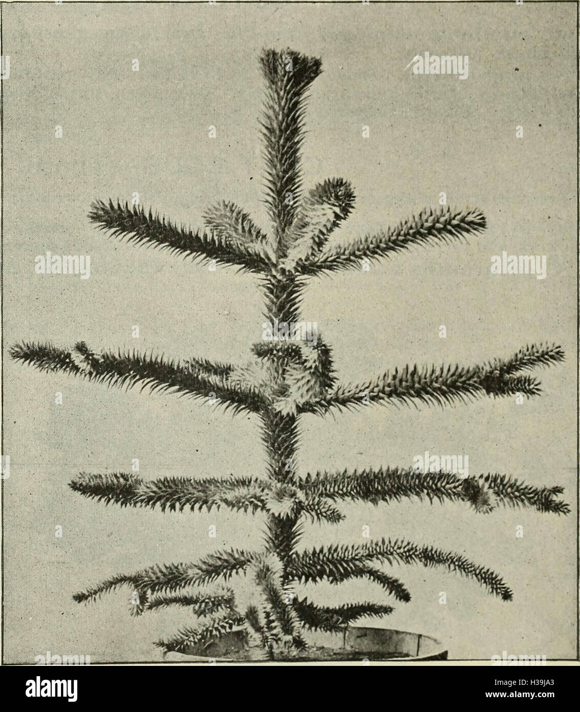 This catalog provides detailed descriptions and classifications of ...