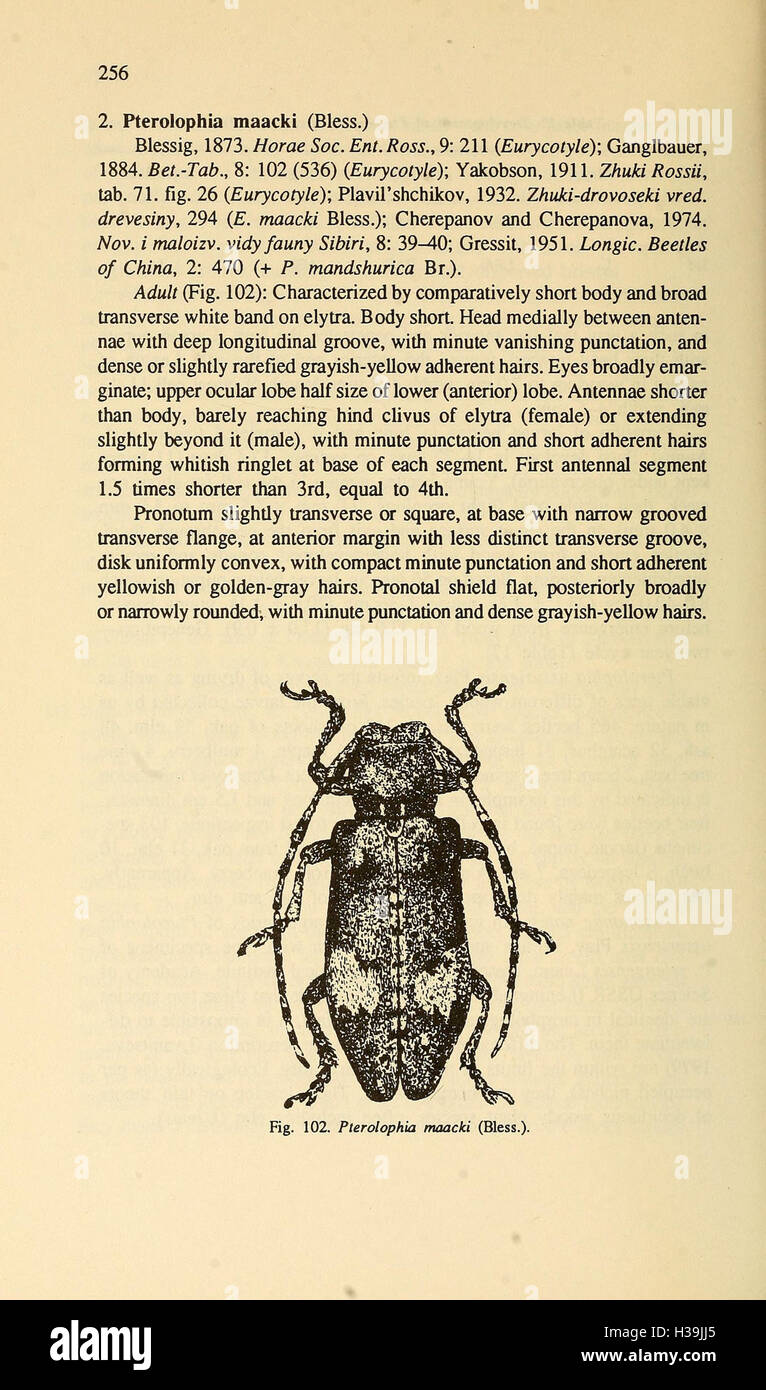 This study focuses on the longhorn beetles (Cerambycidae) of Northern ...