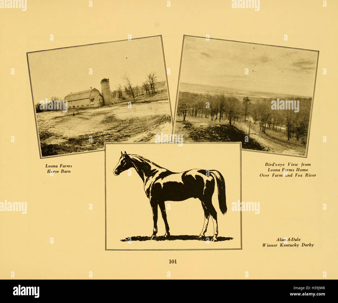 The Chicago Equestrian Association is a group focused on promoting ...