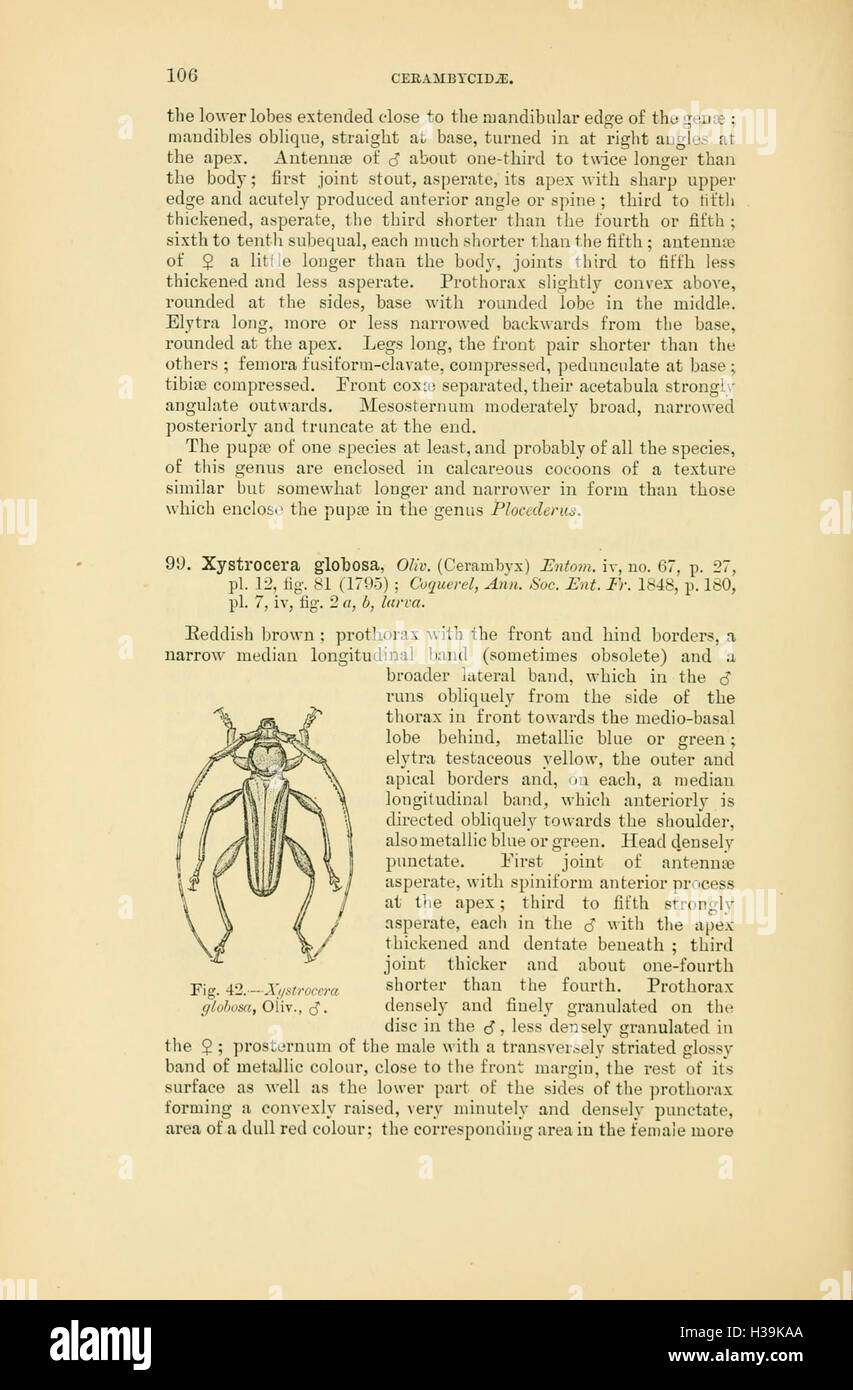 This page focuses on the Coleoptera, one of the largest orders of ...