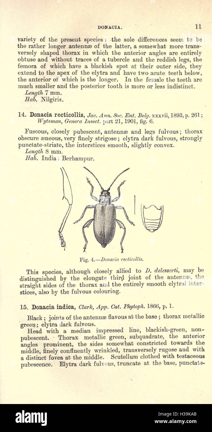 This section focuses on Coleoptera, the largest order of insects ...
