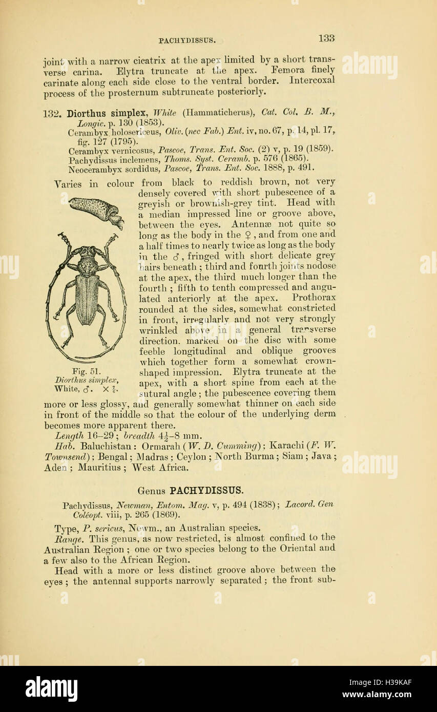 This section provides an overview of Coleoptera, a large order of ...